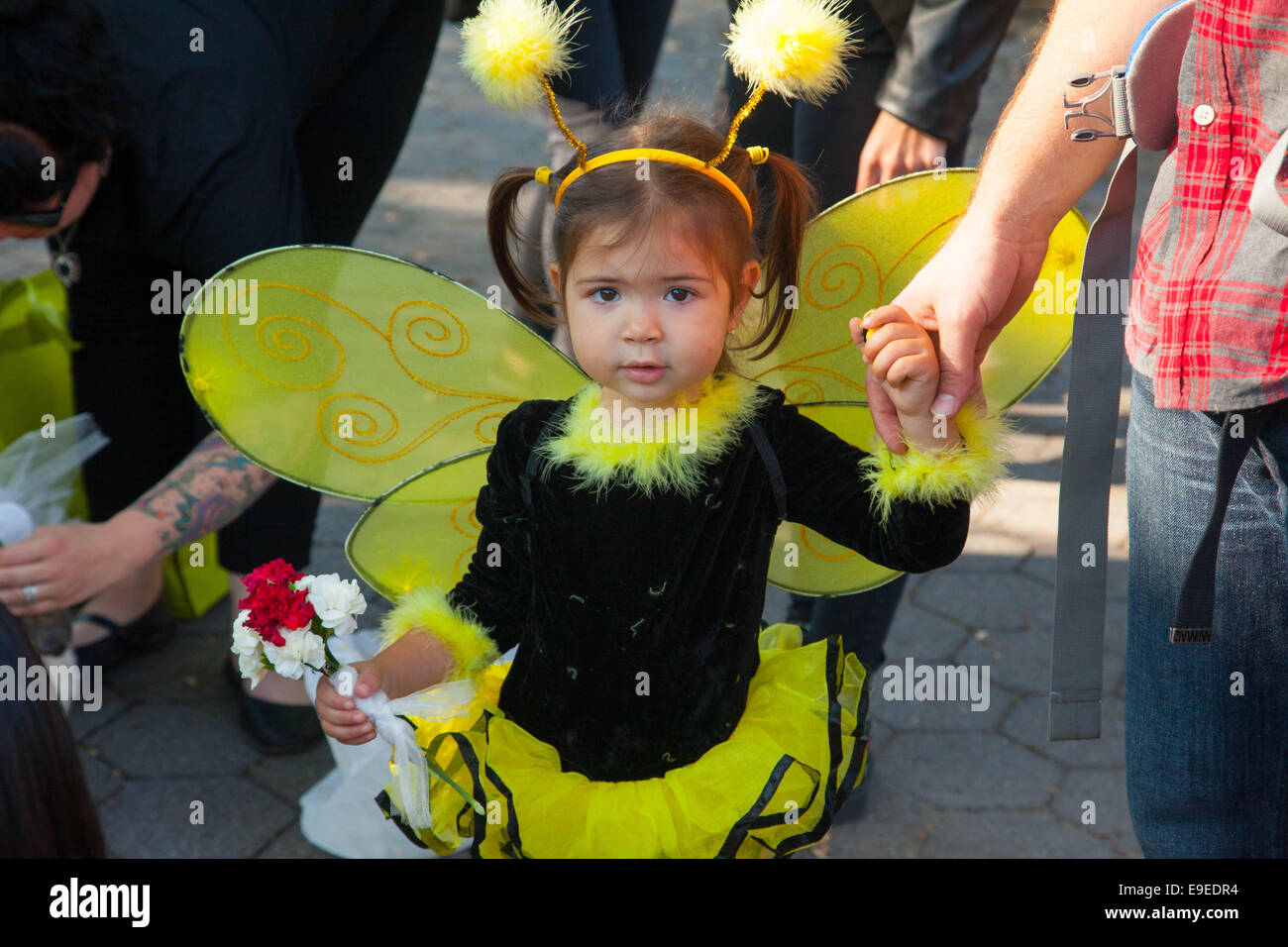 New York, USA. 25th Oct, 2014. Scenes from The 24th Annual Tompkins ...