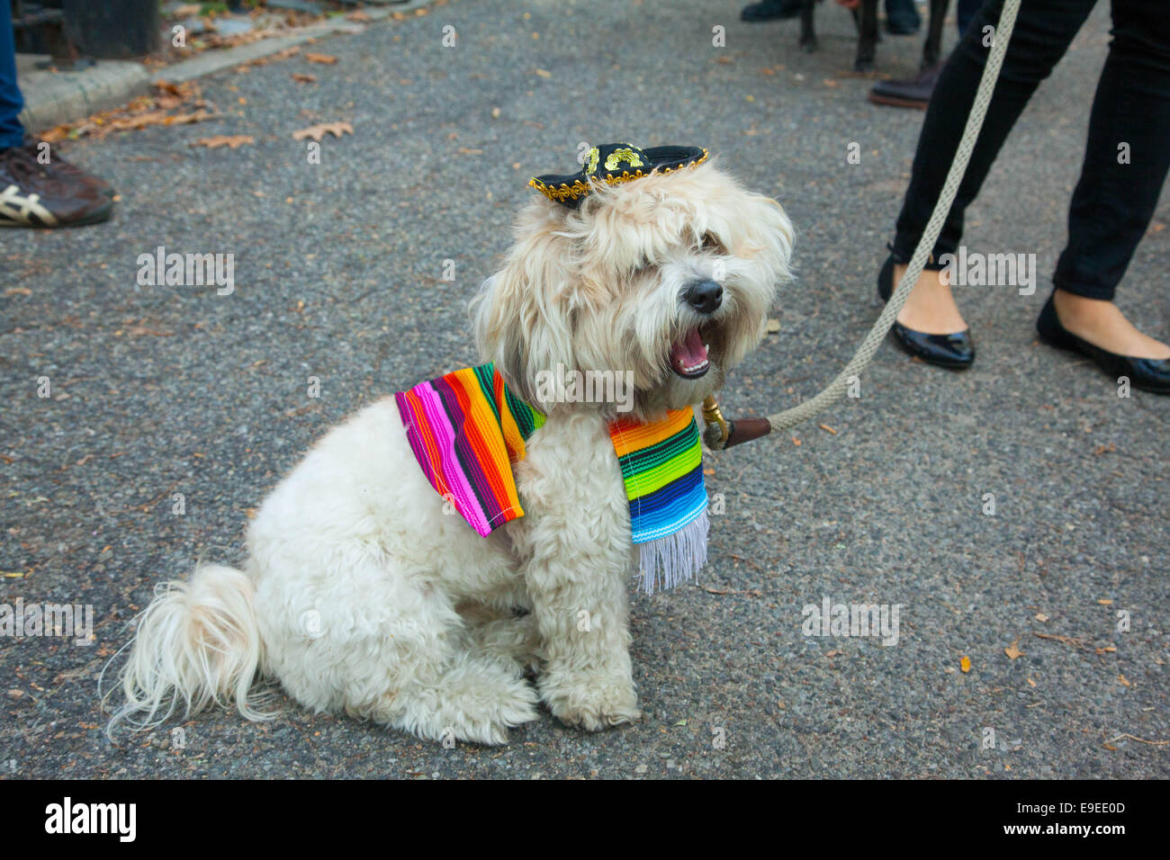 New York, USA. 25th Oct, 2014. Scenes from The 24th Annual Tompkins ...