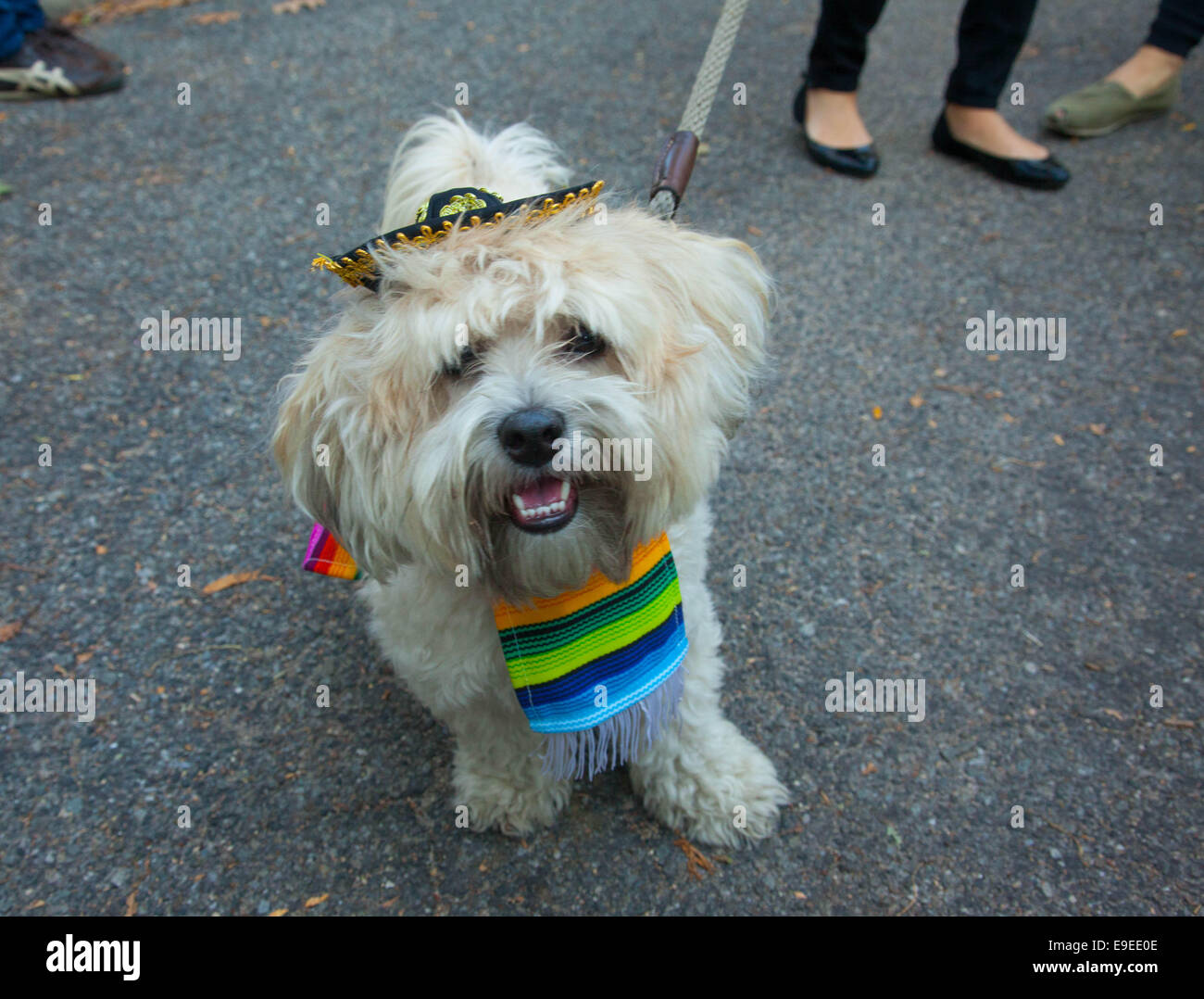 New York, USA. 25th Oct, 2014. Scenes from The 24th Annual Tompkins ...