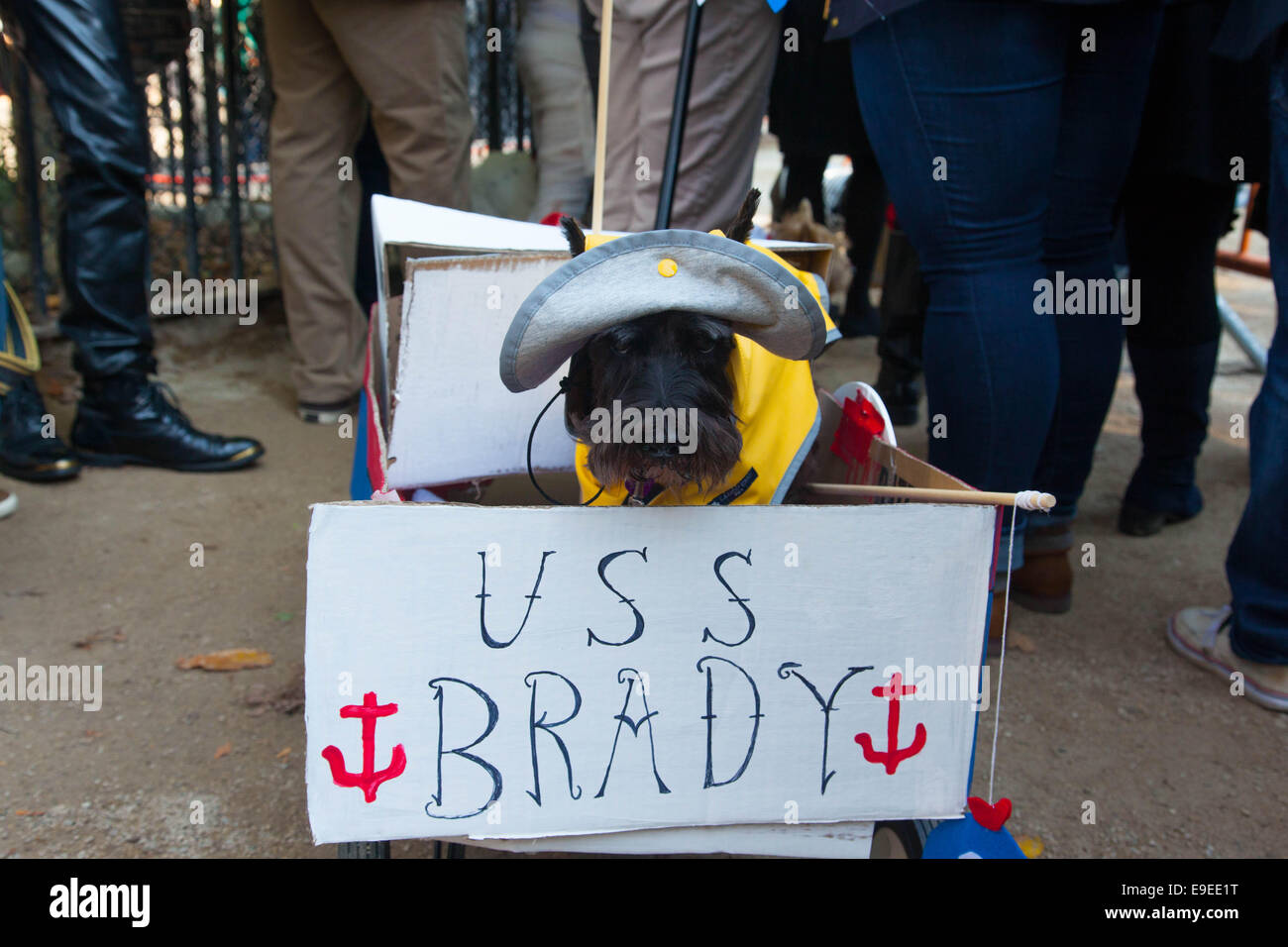 New York, USA. 25th Oct, 2014. Scenes from The 24th Annual Tompkins ...