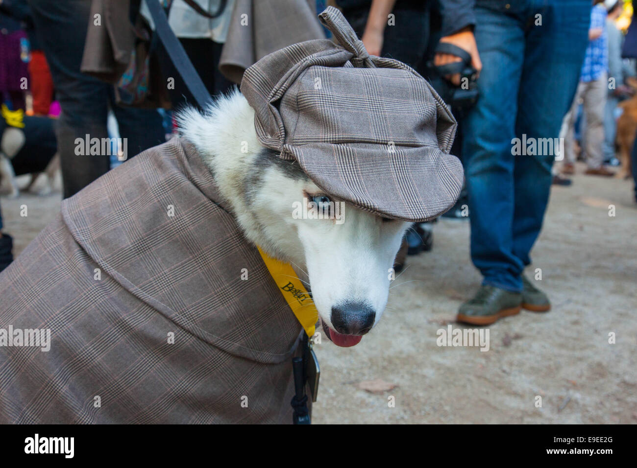 New York, USA. 25th Oct, 2014. Scenes from The 24th Annual Tompkins ...