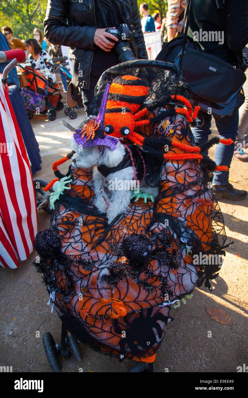 New York, USA. 25th Oct, 2014. Scenes from The 24th Annual Tompkins ...
