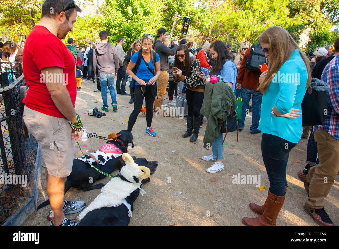 New York, USA. 25th Oct, 2014. Scenes from The 24th Annual Tompkins ...