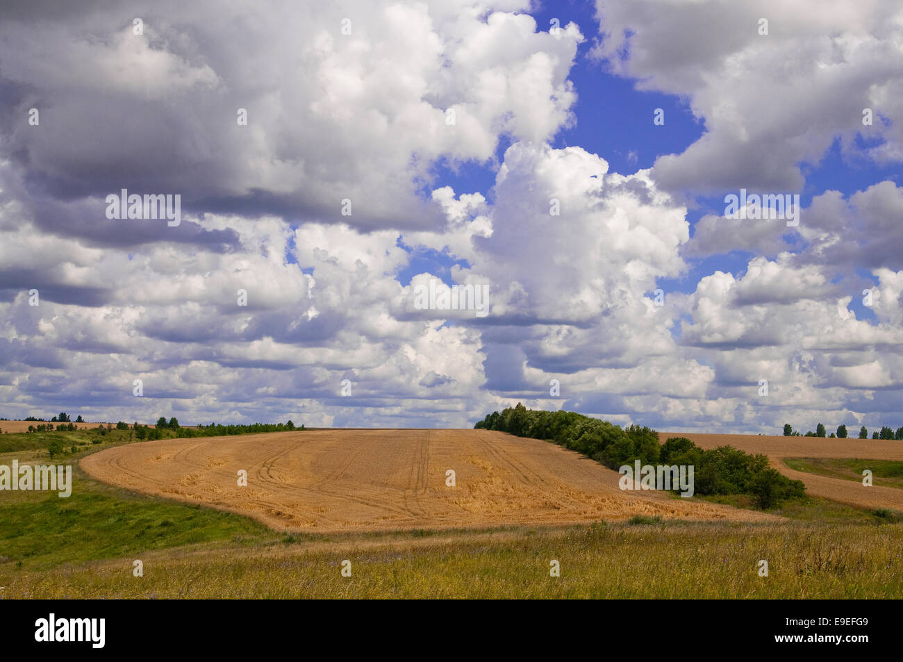 Russian countryside hi-res stock photography and images - Alamy