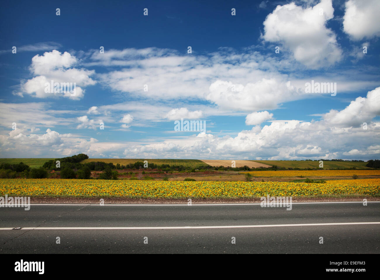 Highway road sunflower field hi-res stock photography and images - Alamy
