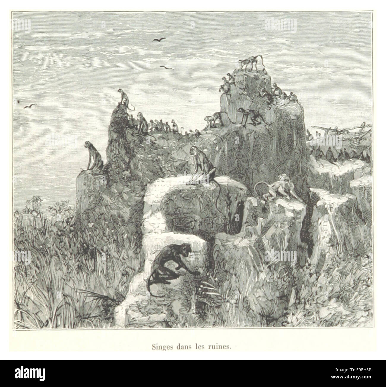 An illustration from a work depicting monkeys in the ruins, offering a ...