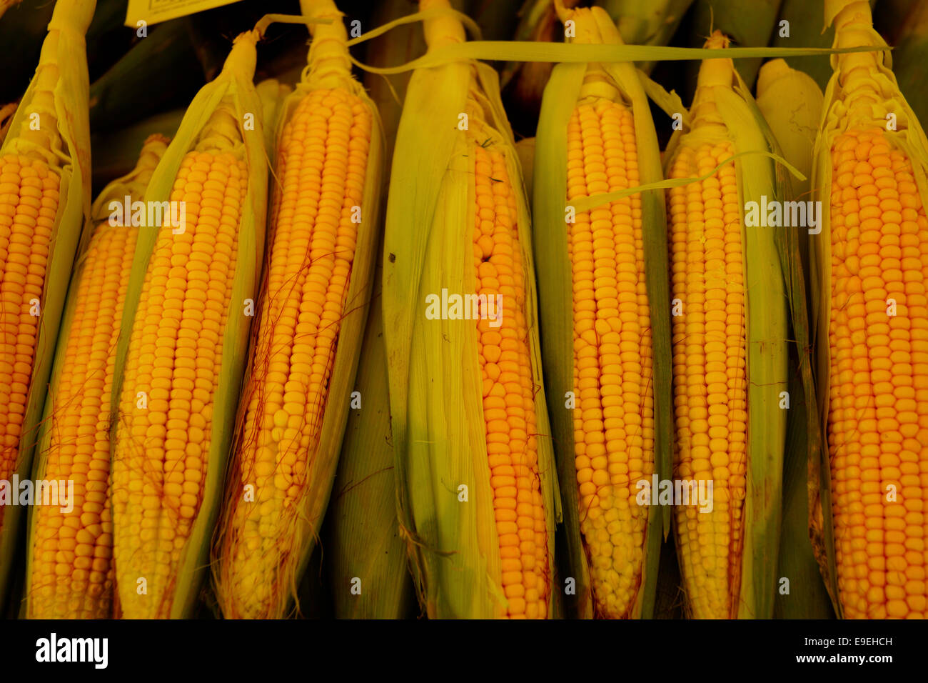 Freshly picked corn in the food market, Didim, Turkey Stock Photo - Alamy