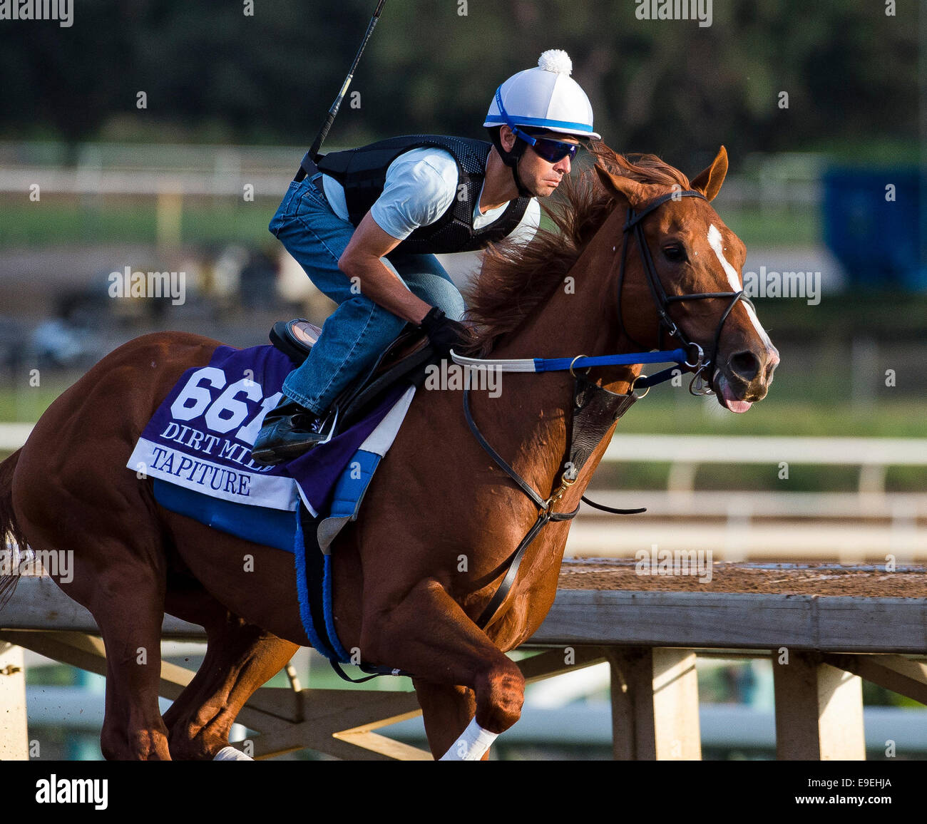 Tapiture hi-res stock photography and images - Alamy