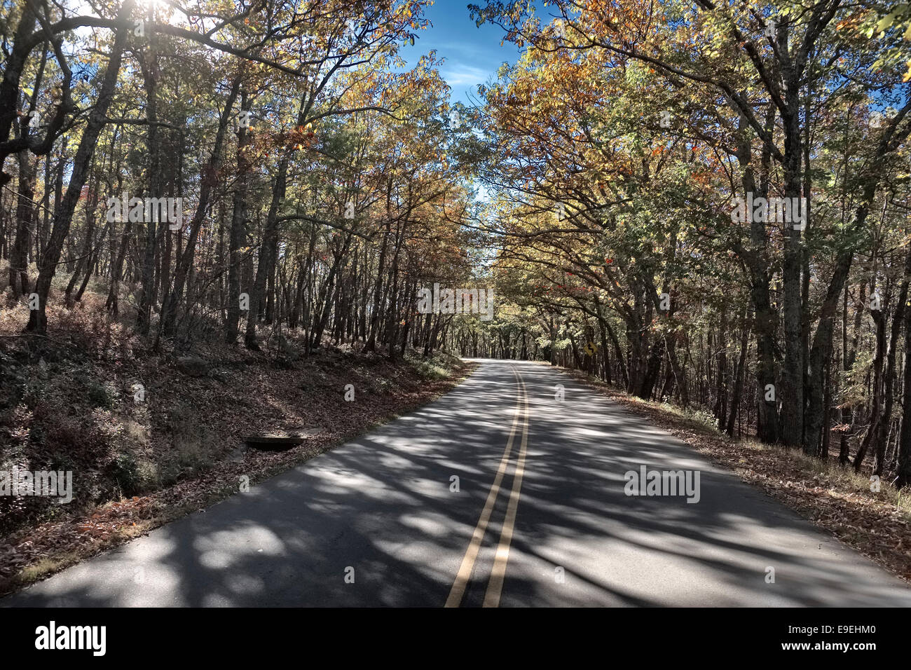 Tree canopy covered shaded Road in fall. Pilot Mountain State Park ...