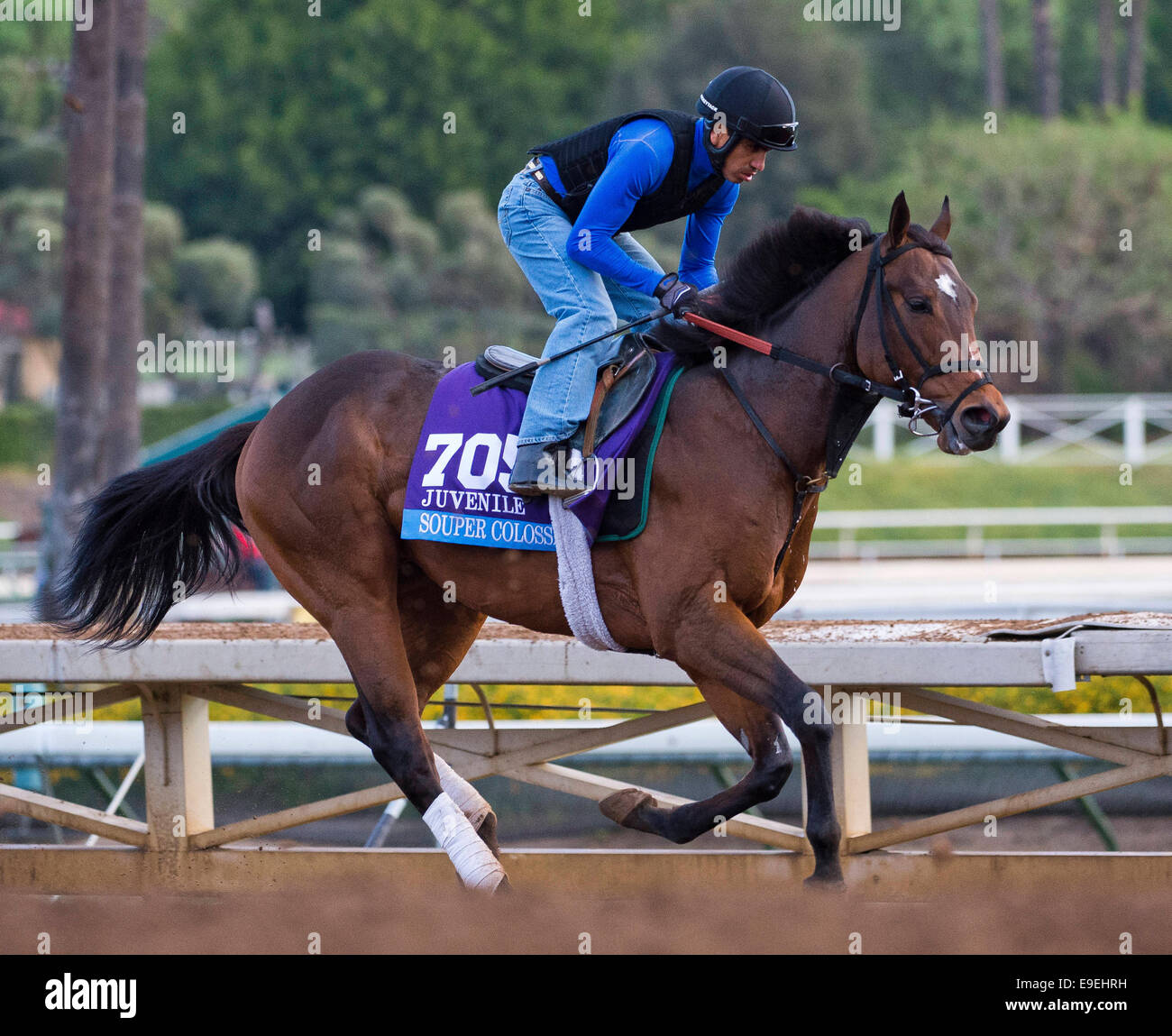 Arcadia, CA, USA. 26th Oct, 2014. October 26, 2014: Souper Colossal ...