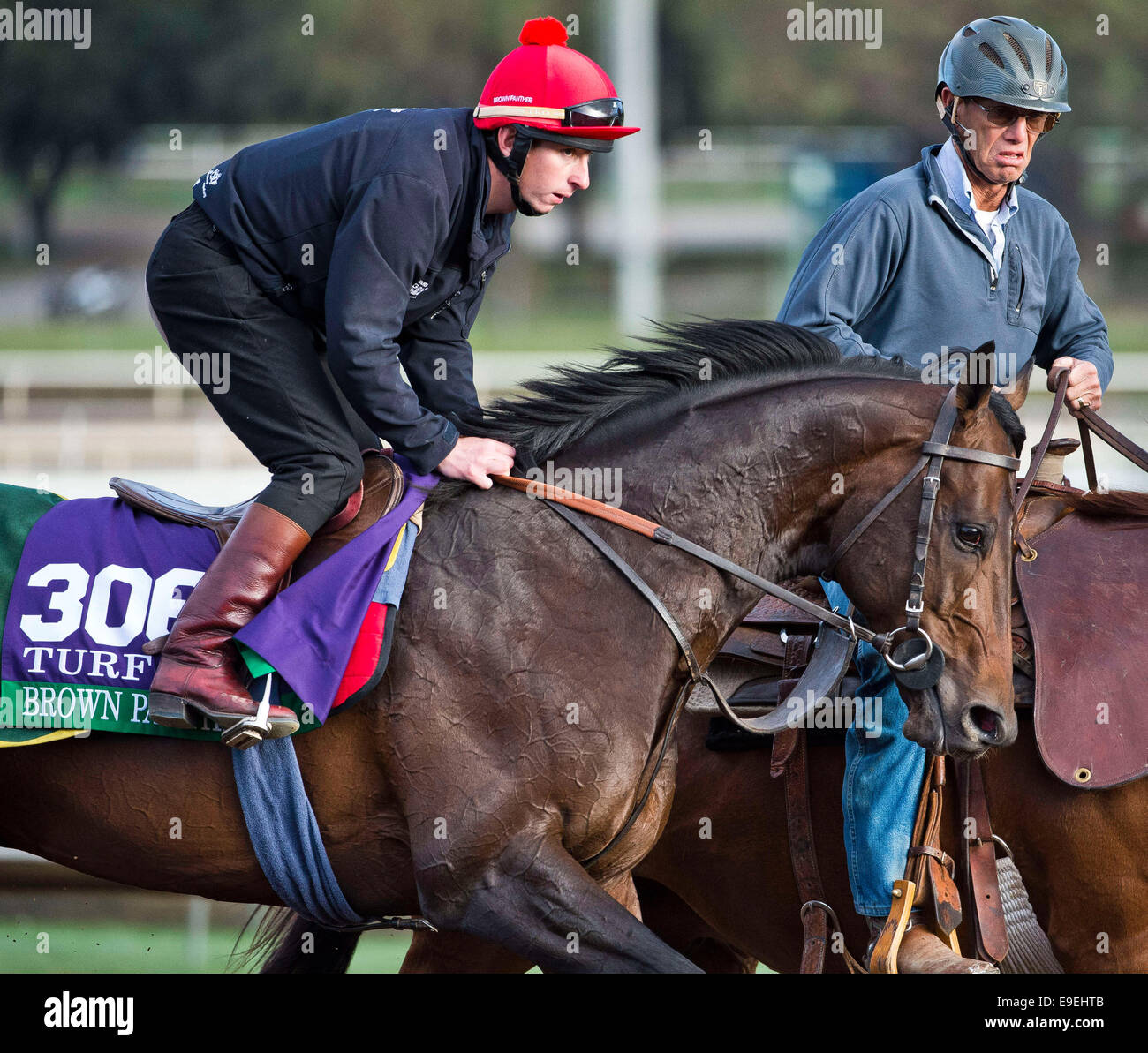 Trained by tom dascombe hi-res stock photography and images - Alamy