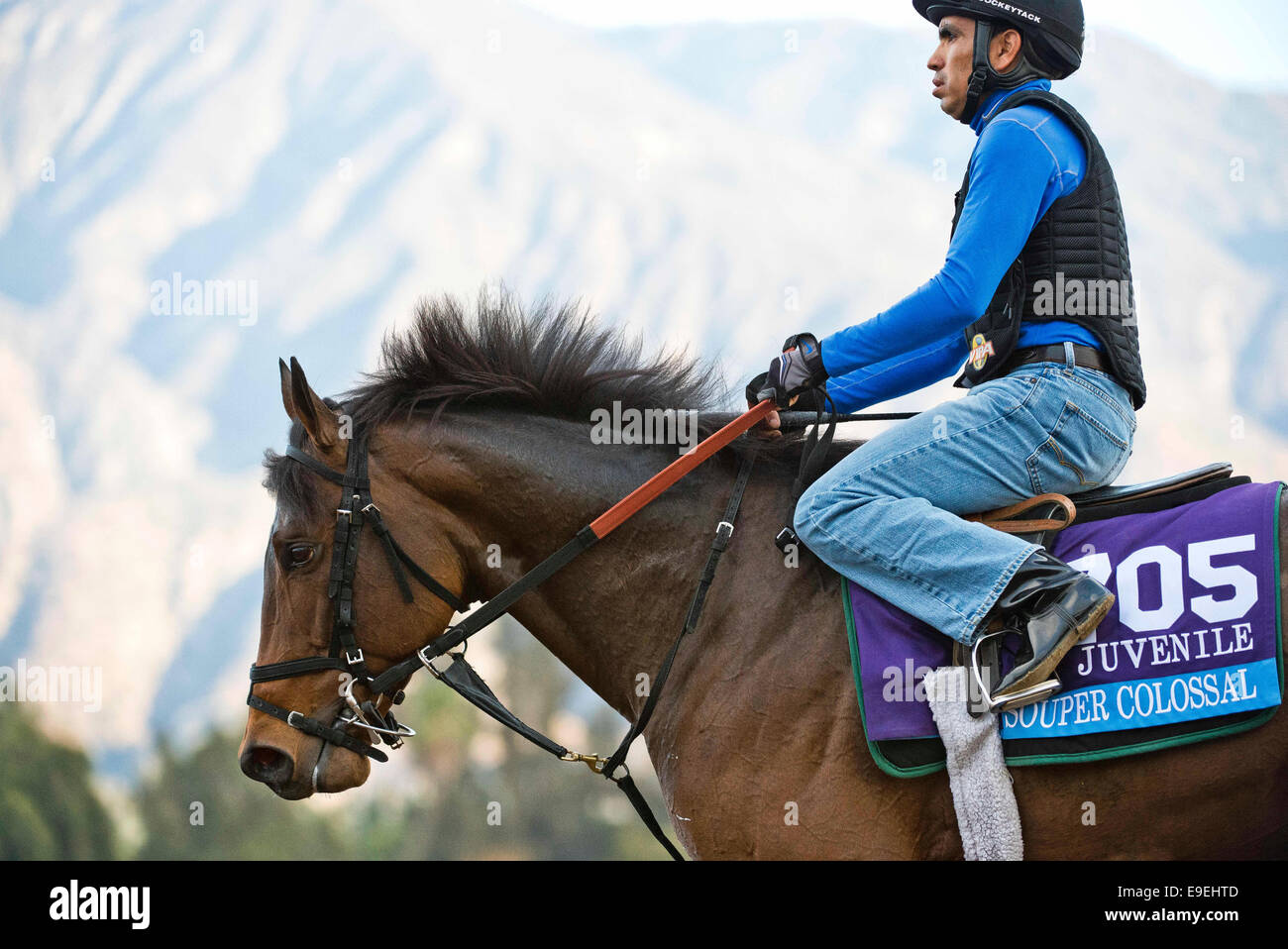 Colossal horse hi-res stock photography and images - Alamy