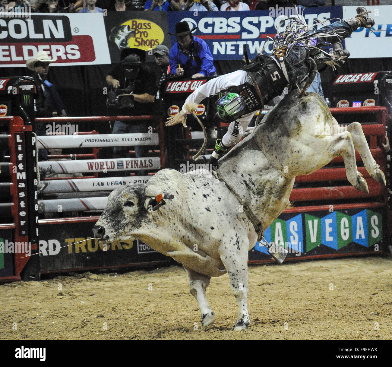 Las Vegas, NV, USA. 25th Oct, 2014. October 25, 2014: Cody Nance gets ...