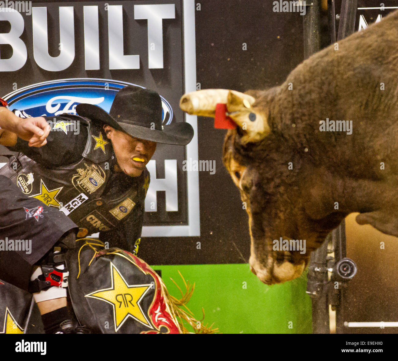 Pbr Bull Voodoo Child