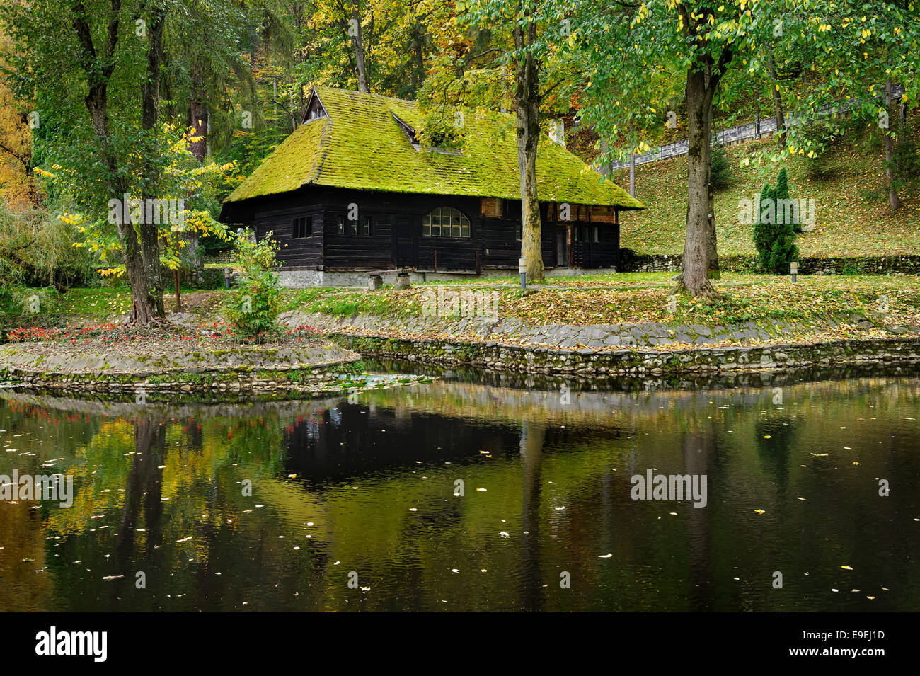 wooden house with moss on roof Stock Photo - Alamy