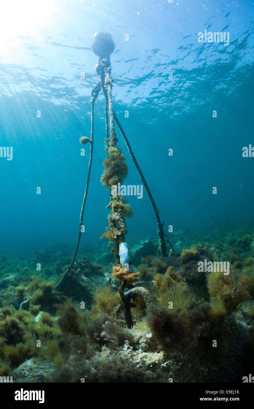 Mooring buoy in the Mediterranean Sea in Gozo, Malta Stock Photo - Alamy