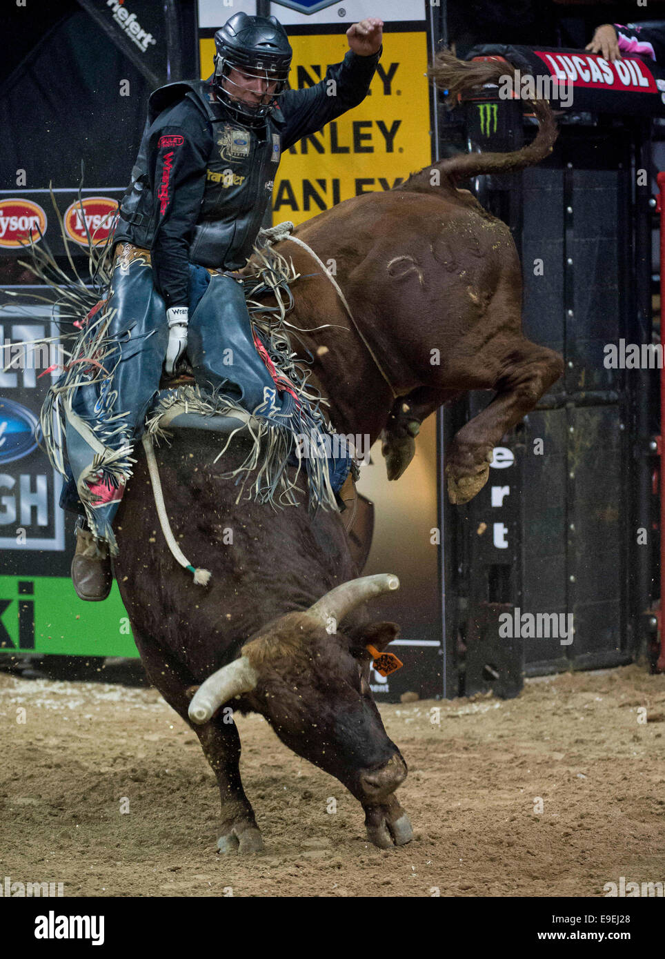 Las Vegas, NV, USA. 25th Oct, 2014. October 25, 2014: Zane Lambert ...