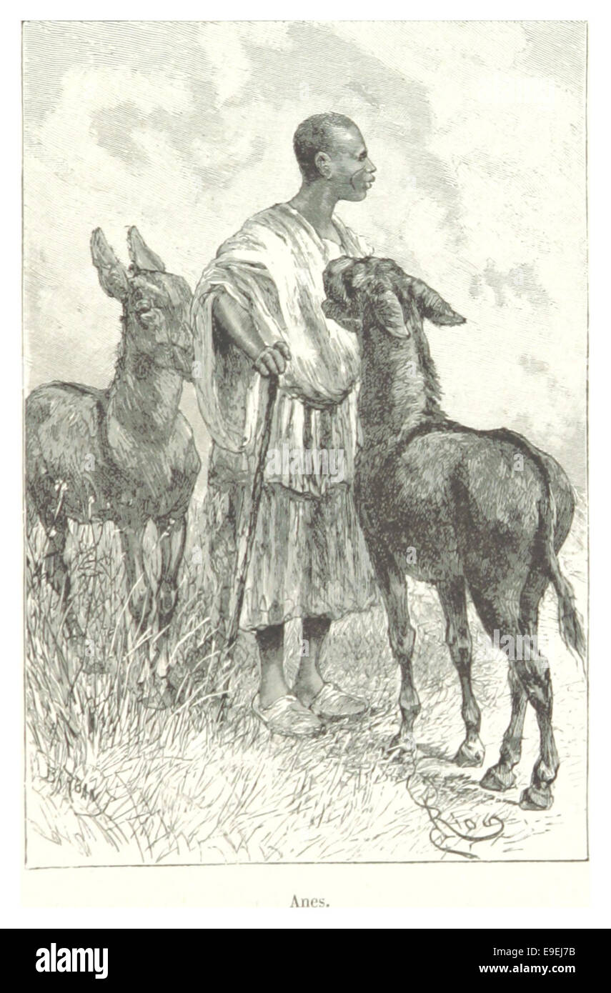 Anes hi-res stock photography and images - Alamy