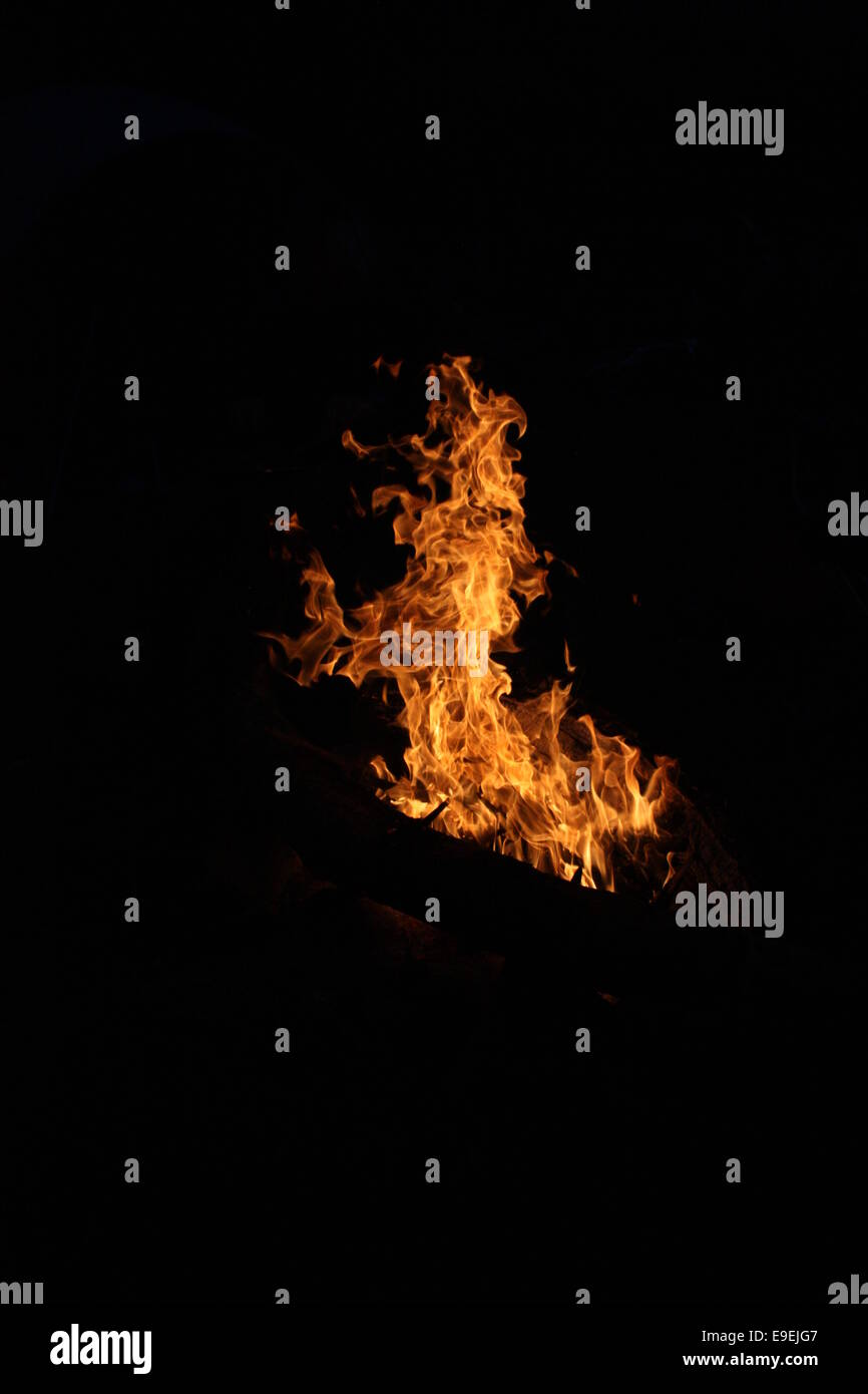 fire at night, orange flames on a black background Stock Photo - Alamy