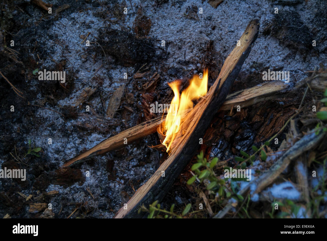 Splinters of wood hi-res stock photography and images - Alamy