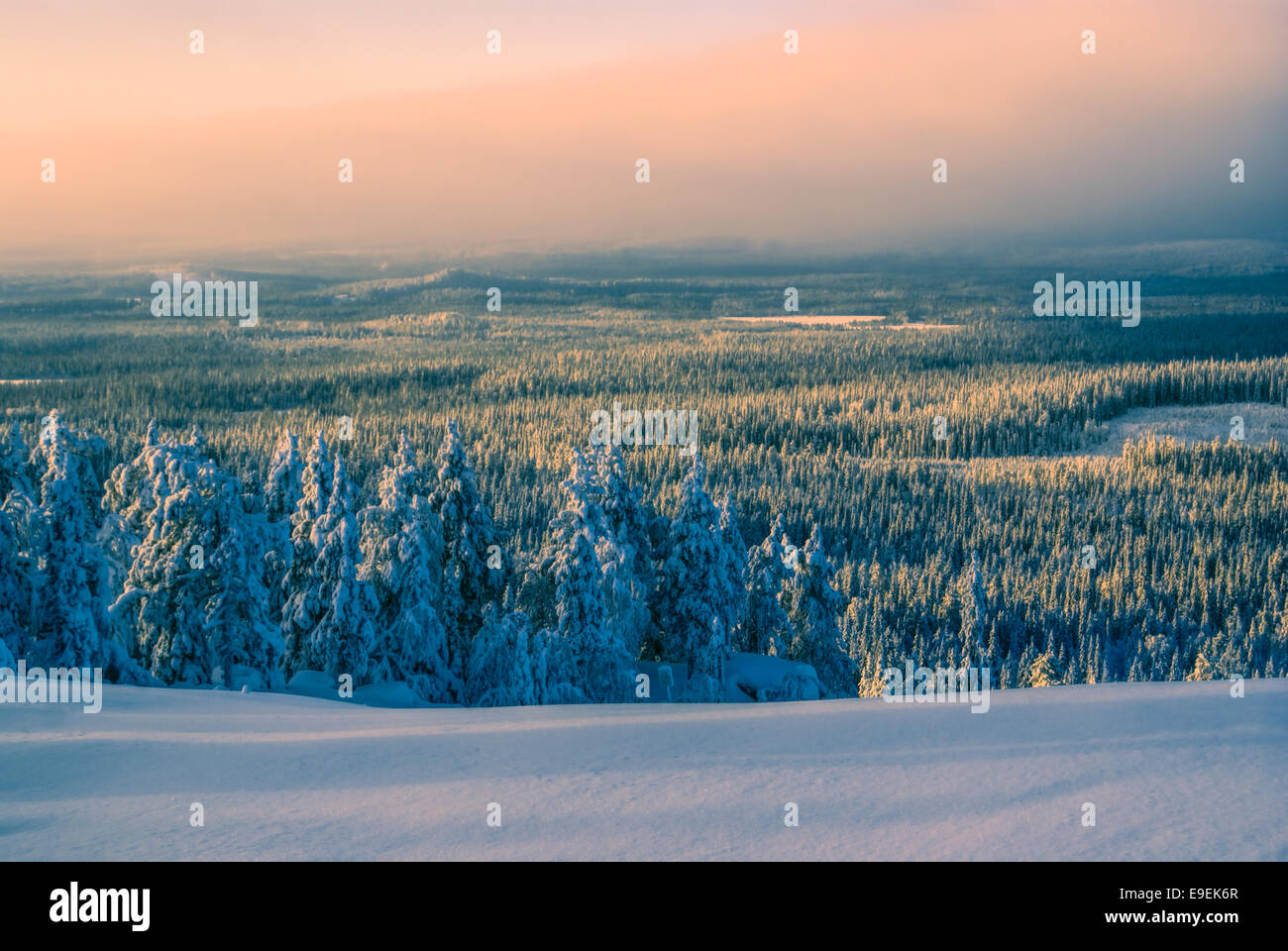 Sun setting over forest hi-res stock photography and images - Alamy