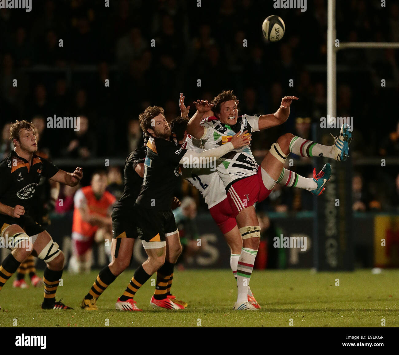 Charlie matthews of wasps rugby hi-res stock photography and images - Alamy