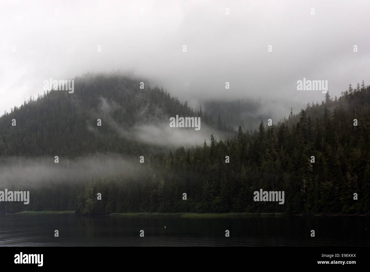 Cloud forest inside hi-res stock photography and images - Alamy