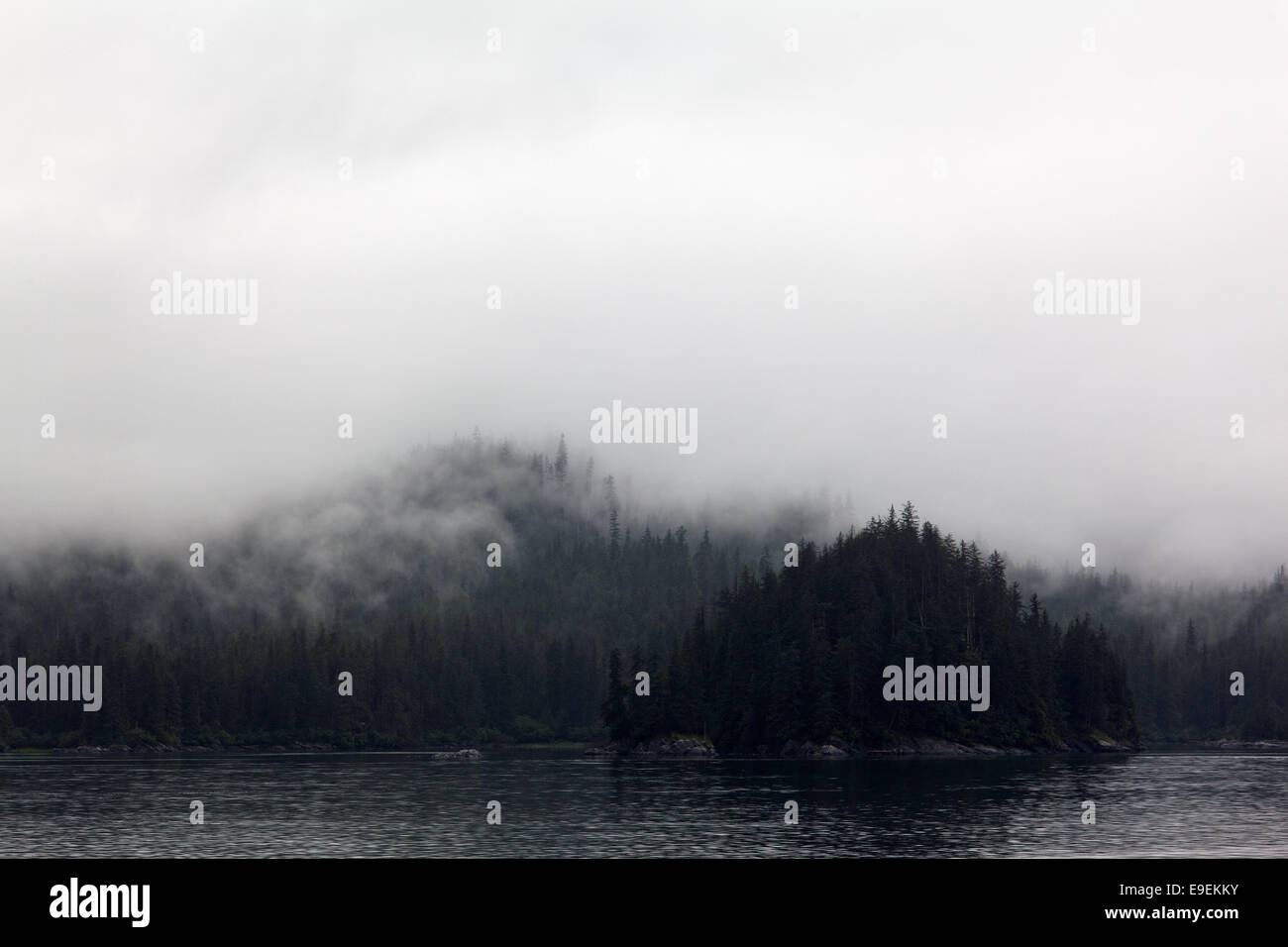 Fog shrouded forest along shoreline of Wrangell Narrows, Inside Passage ...