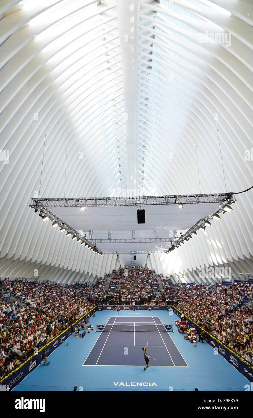 Valencia, Spain. 26th Oct, 2014. Valencia Open 500 Tennis Final between ...