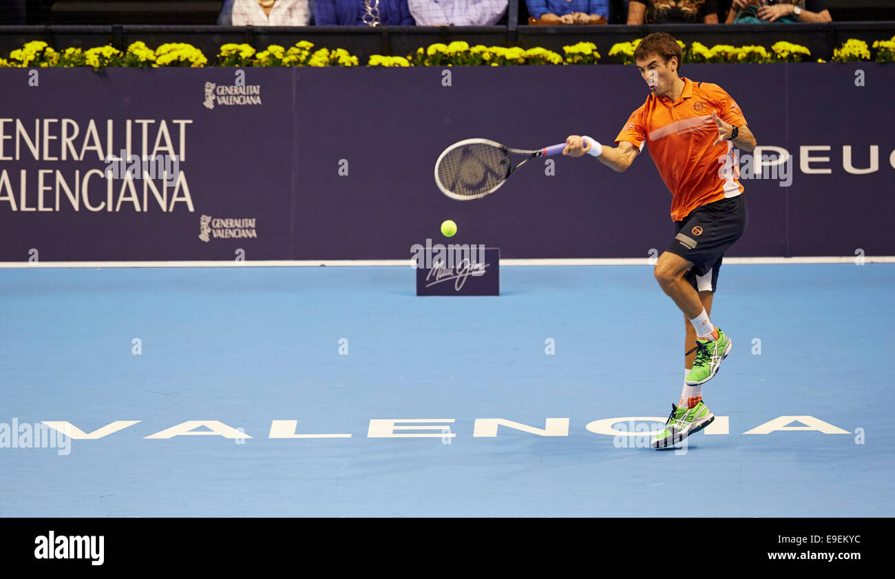 Valencia, Spain. 26th Oct, 2014. Valencia Open 500 Tennis Final between ...