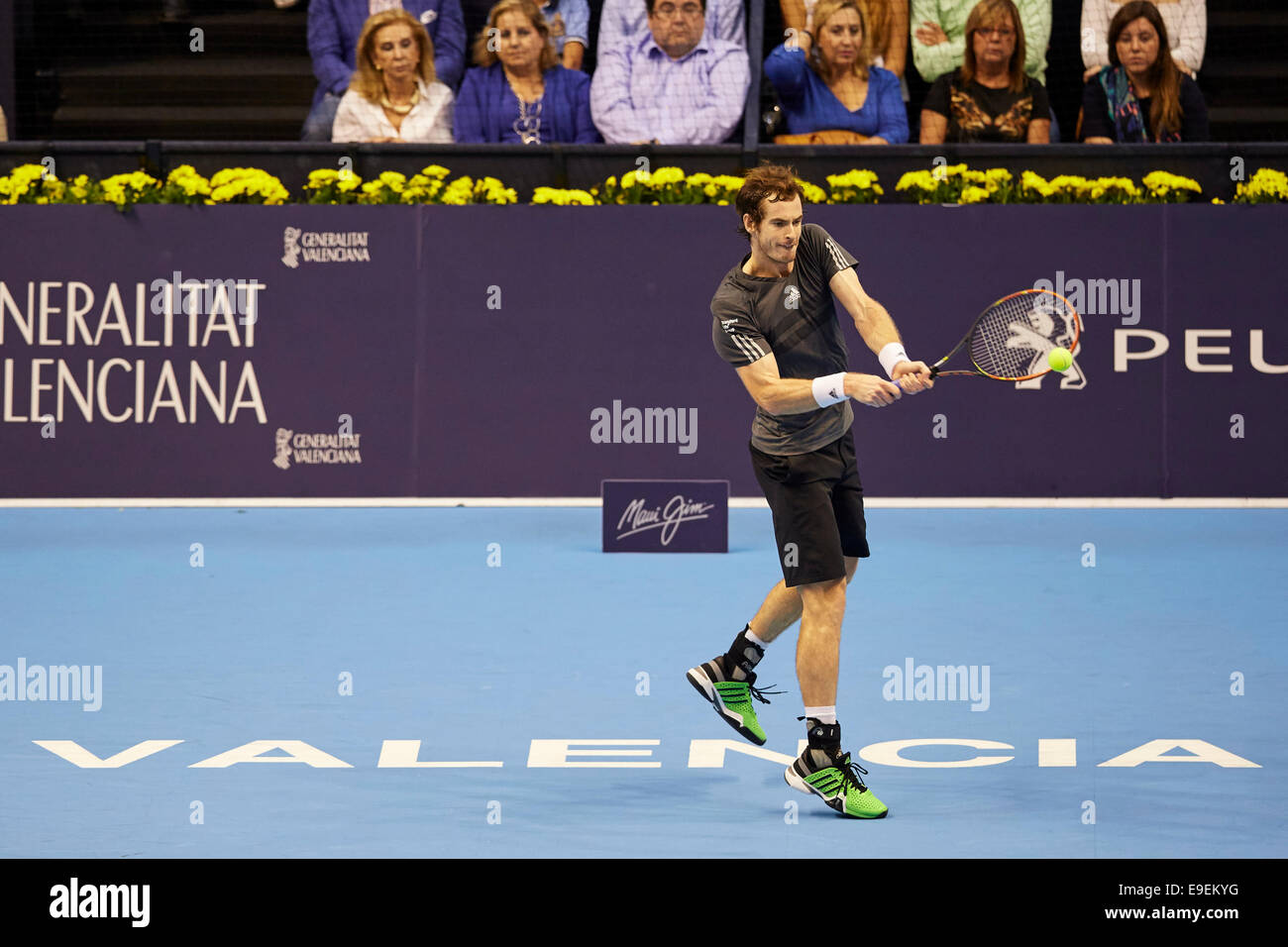 Valencia, Spain. 26th Oct, 2014. Valencia Open 500 Tennis Final between ...