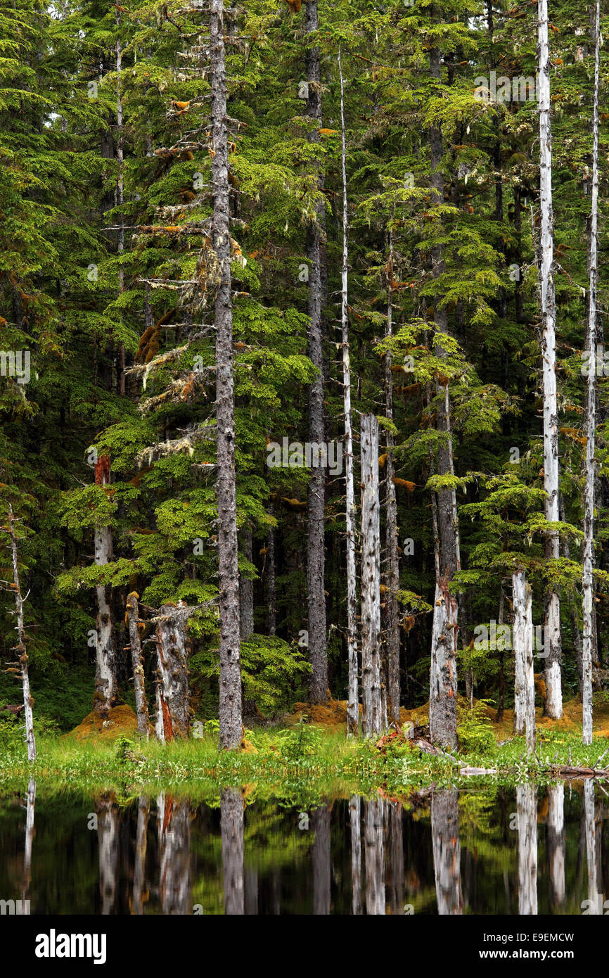 Blackwater Pond, Bartlett Cove, Glacier Bay National Park, Alaska, USA ...