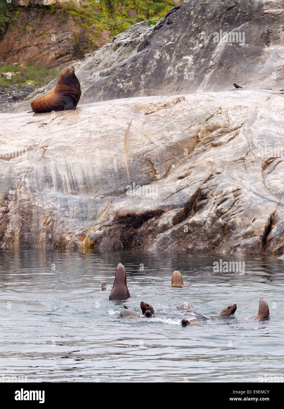 Rock glacier alaska hi-res stock photography and images - Alamy