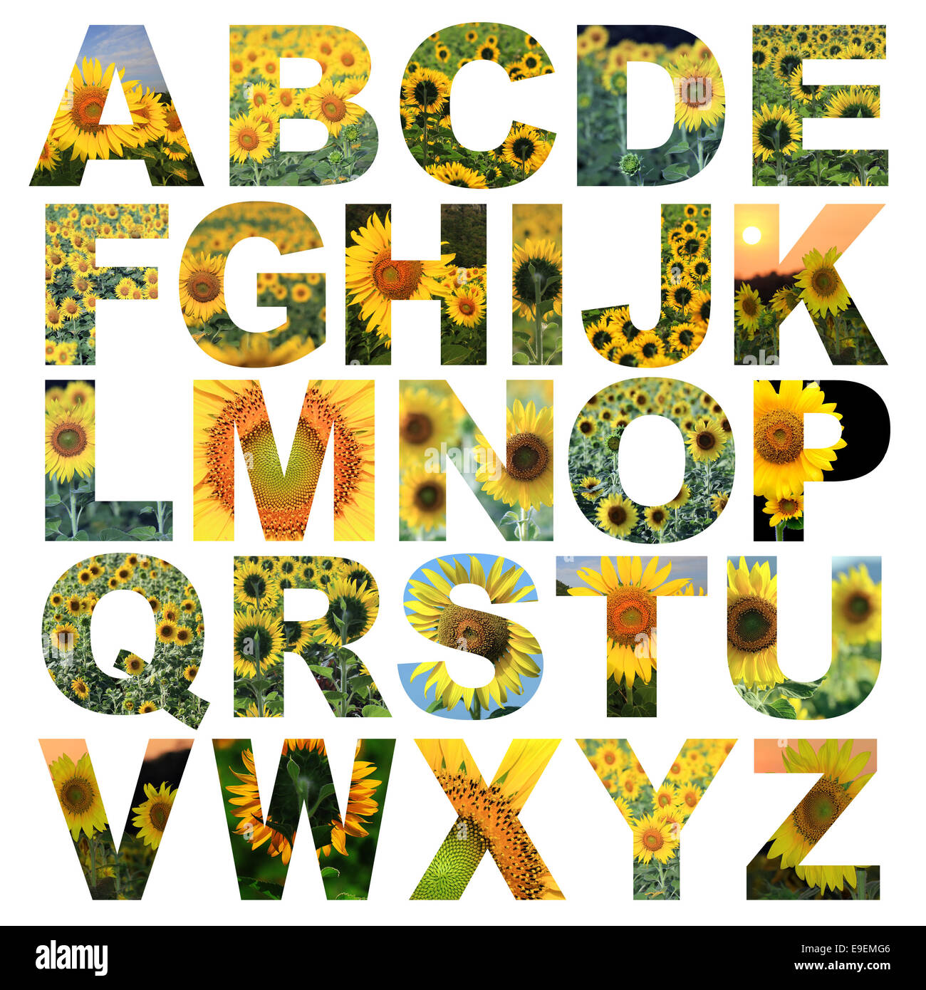 alphabet a to z made from lotus flower picture Stock Photo - Alamy