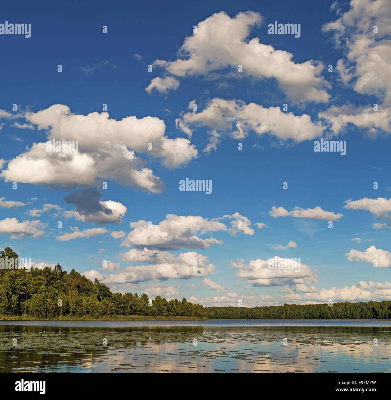 Summer lake landscape Stock Photo - Alamy