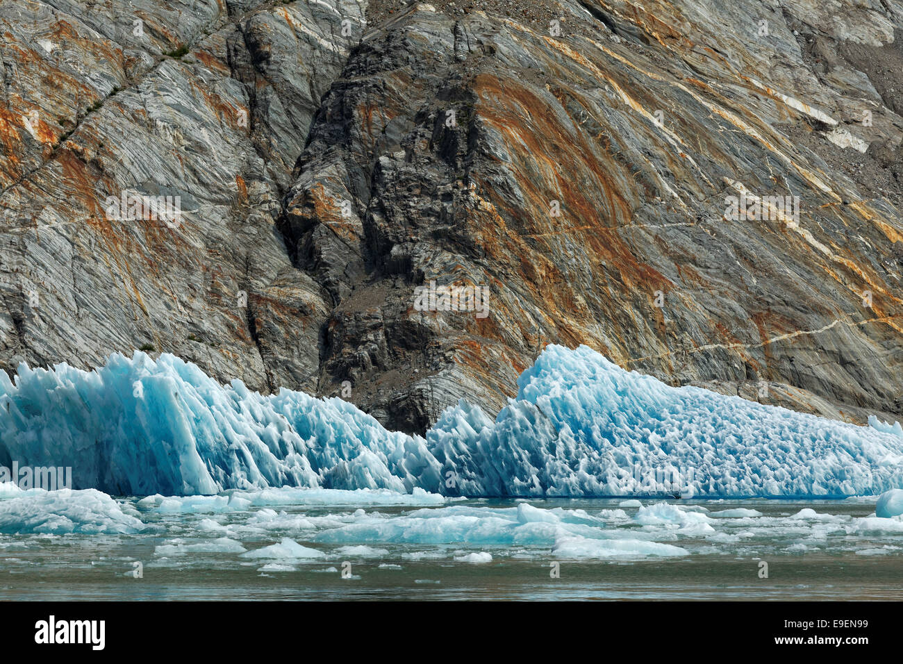 Glacial icebergs floating in Tracy Arm below glacier-carved cliff face ...