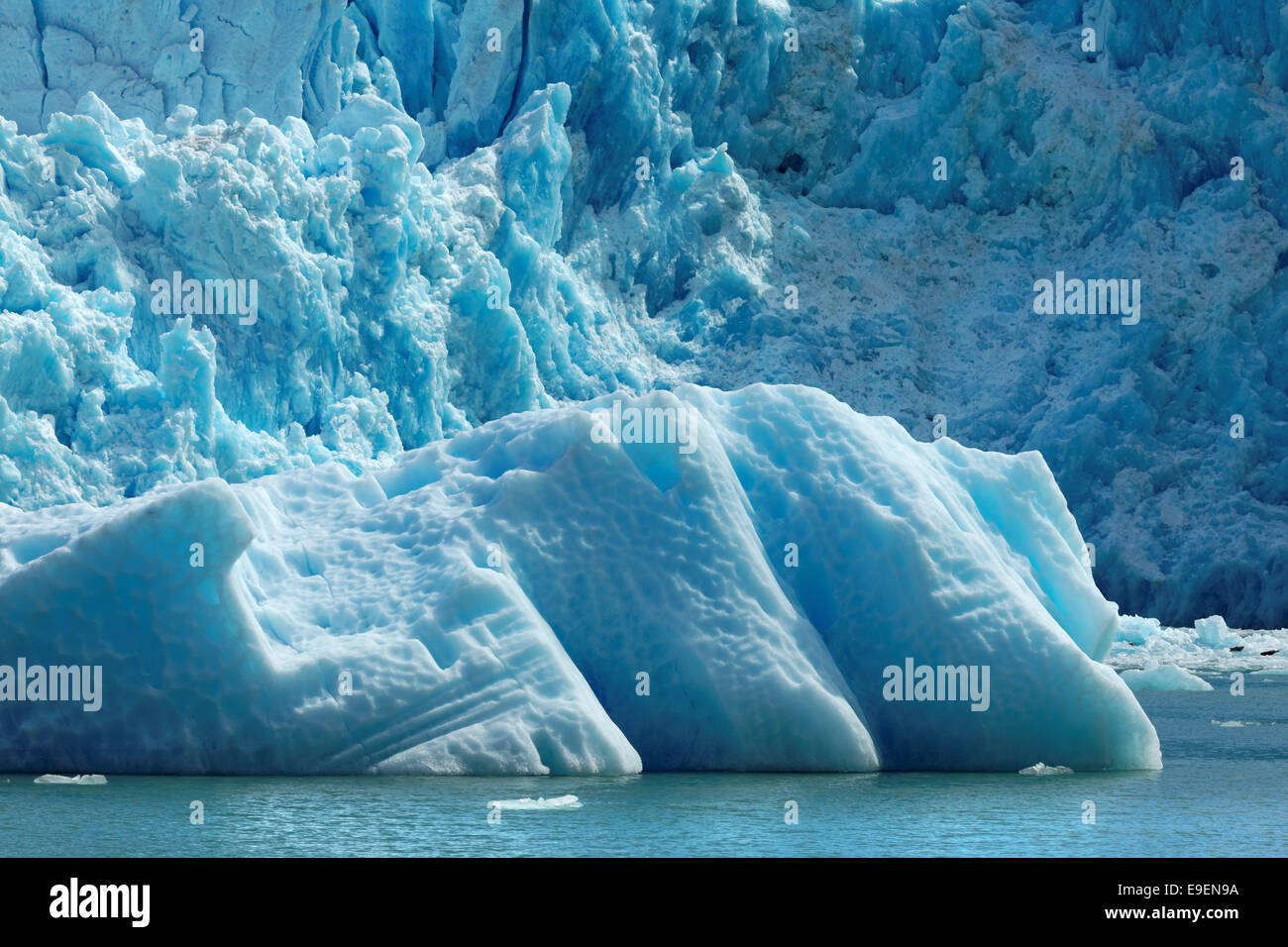 Icebergs floating below terminus face of South Sawyer Glacier, Tracy ...