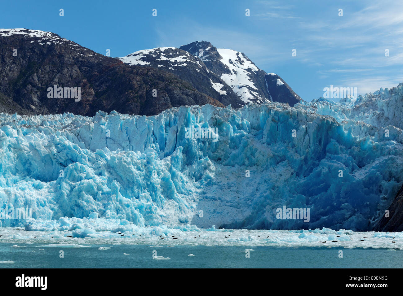 Icebergs floating below terminus face of South Sawyer Glacier, Tracy ...