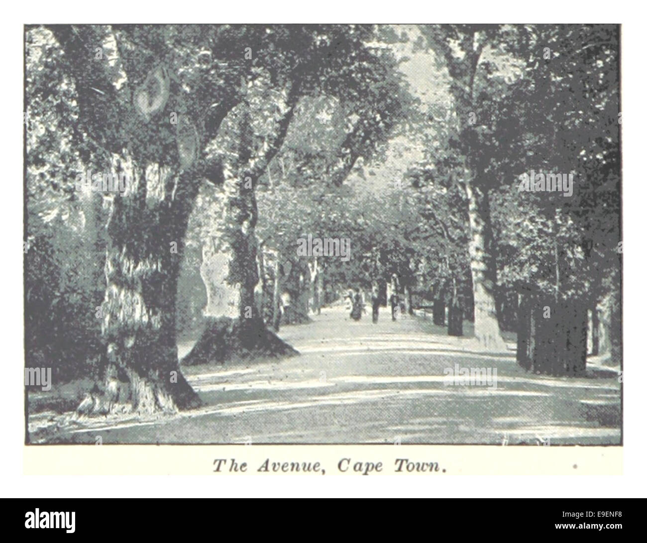 South avenue Cut Out Stock Images & Pictures - Alamy