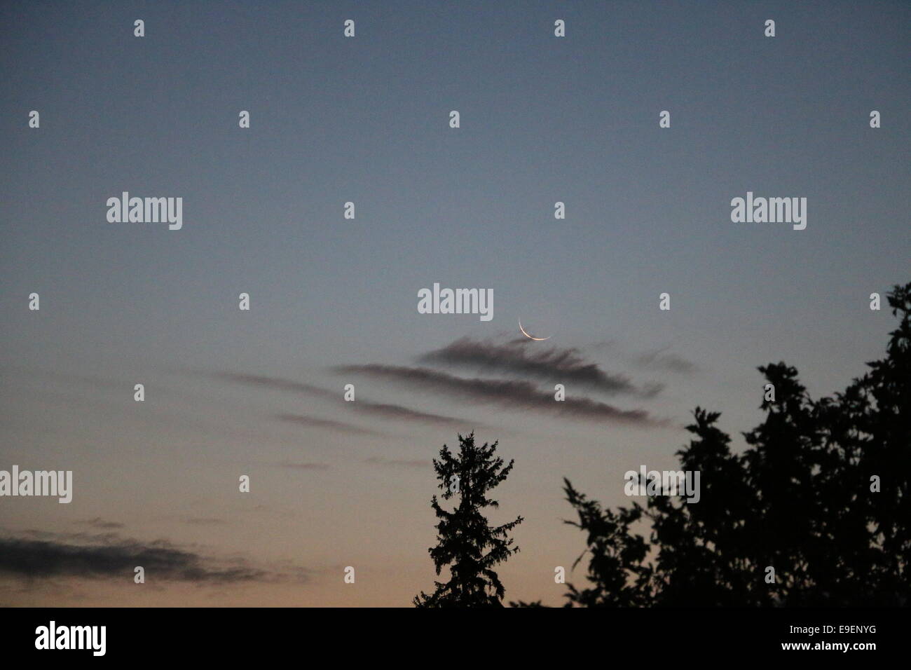 Moon and Saturn in the sunset Stock Photo - Alamy