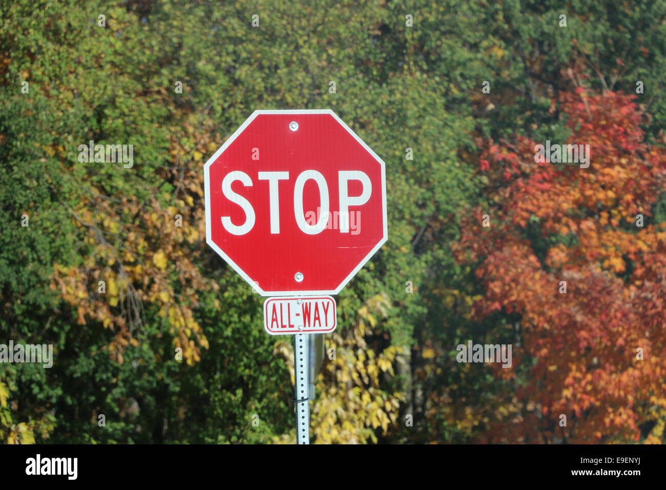 Stop Sign in the Fall Stock Photo - Alamy