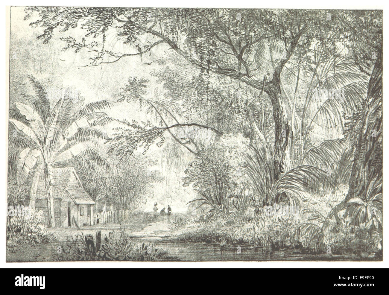 An illustration depicting a planter's house located at the source of ...