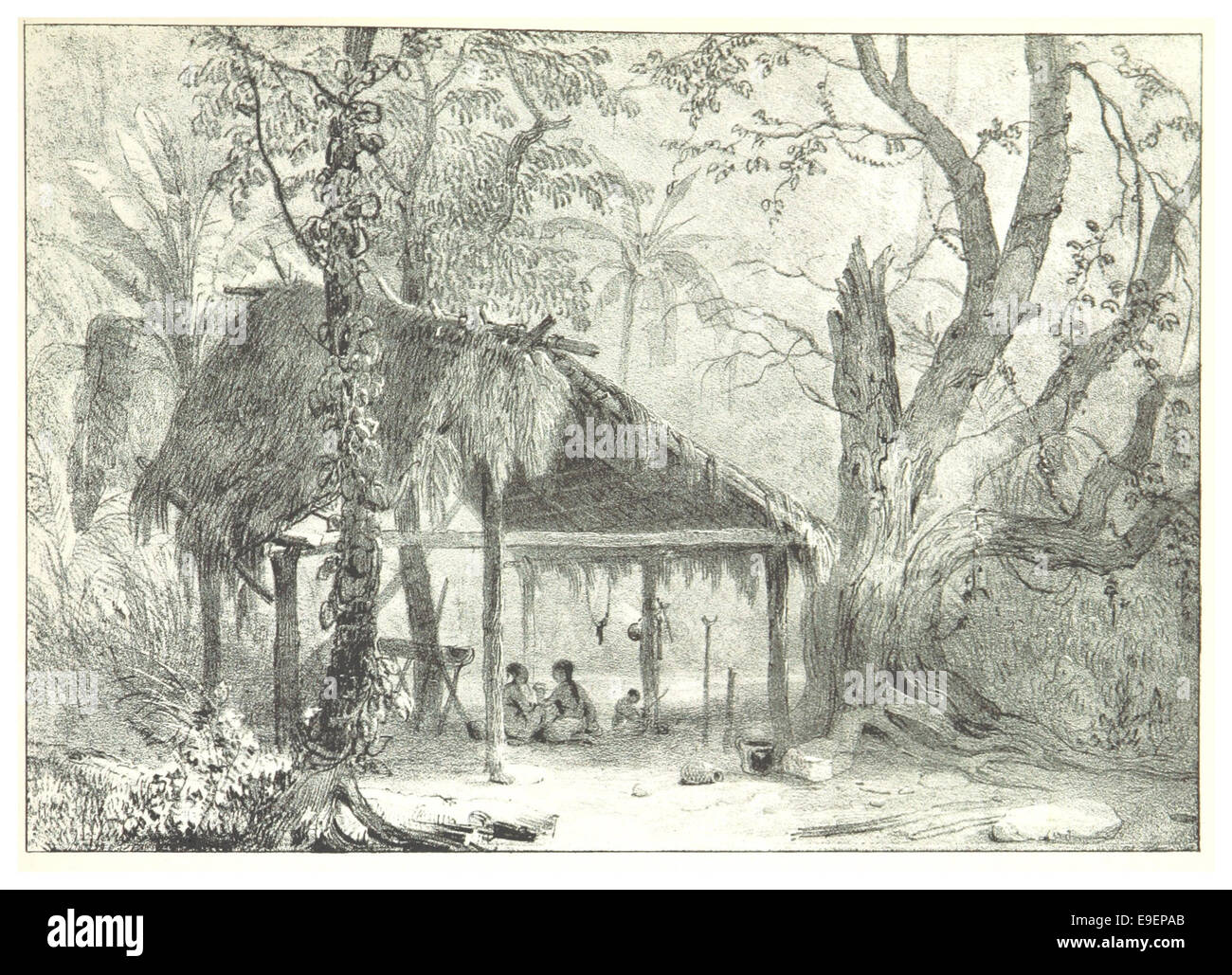 An illustration depicting a large Native American communal hut ...