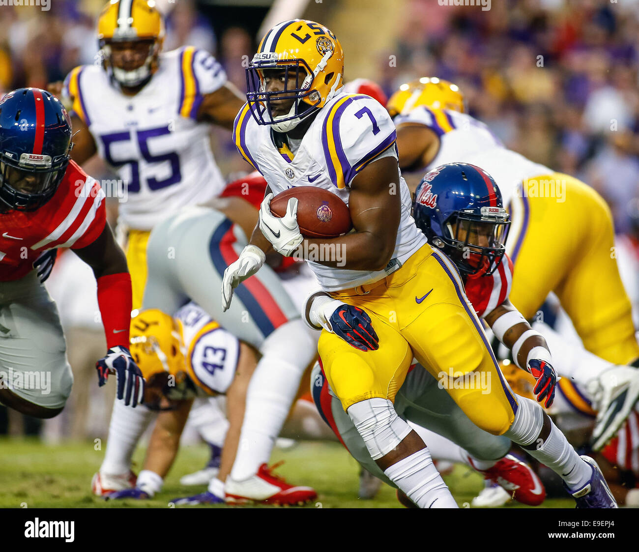 Cajun field stadium hi-res stock photography and images - Alamy