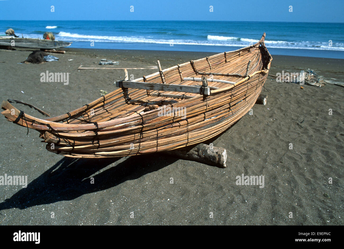 Shasha High Resolution Stock Photography and Images - Alamy