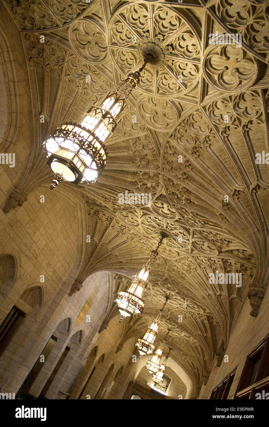 Gothic ceiling hi-res stock photography and images - Alamy