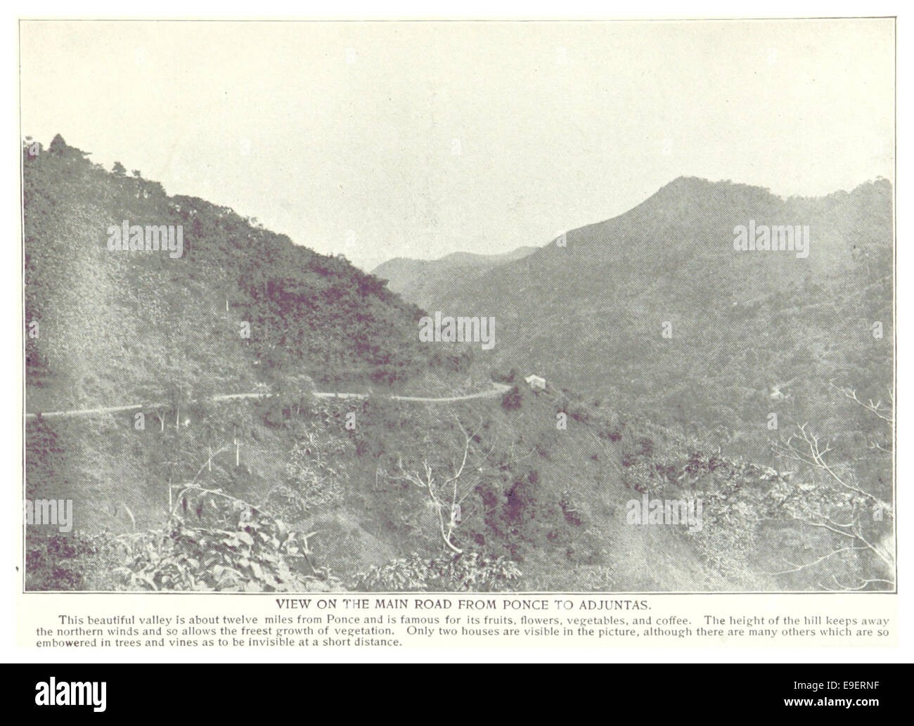 This image depicts the main road connecting Ponce to Adjuntas in Puerto ...