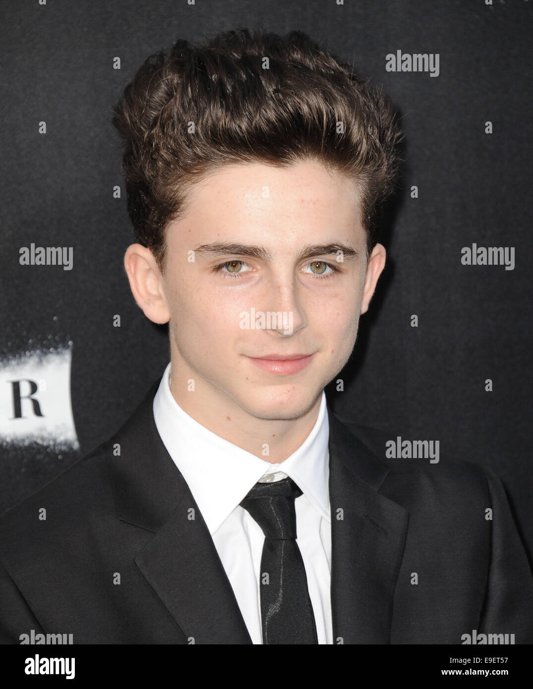 Interstellar timothee chalamet hi-res stock photography and images - Alamy