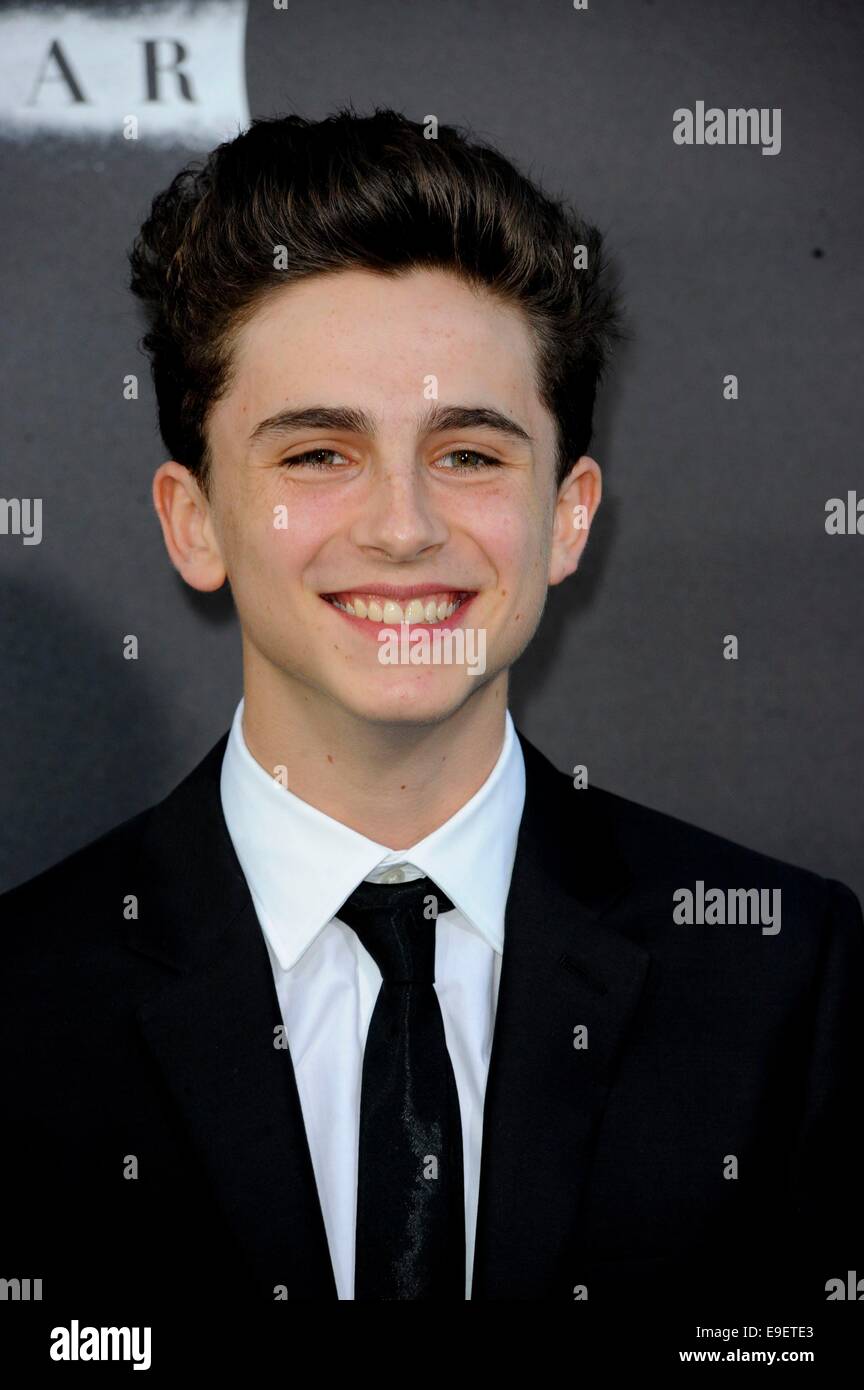 Interstellar timothee chalamet hi-res stock photography and images - Alamy