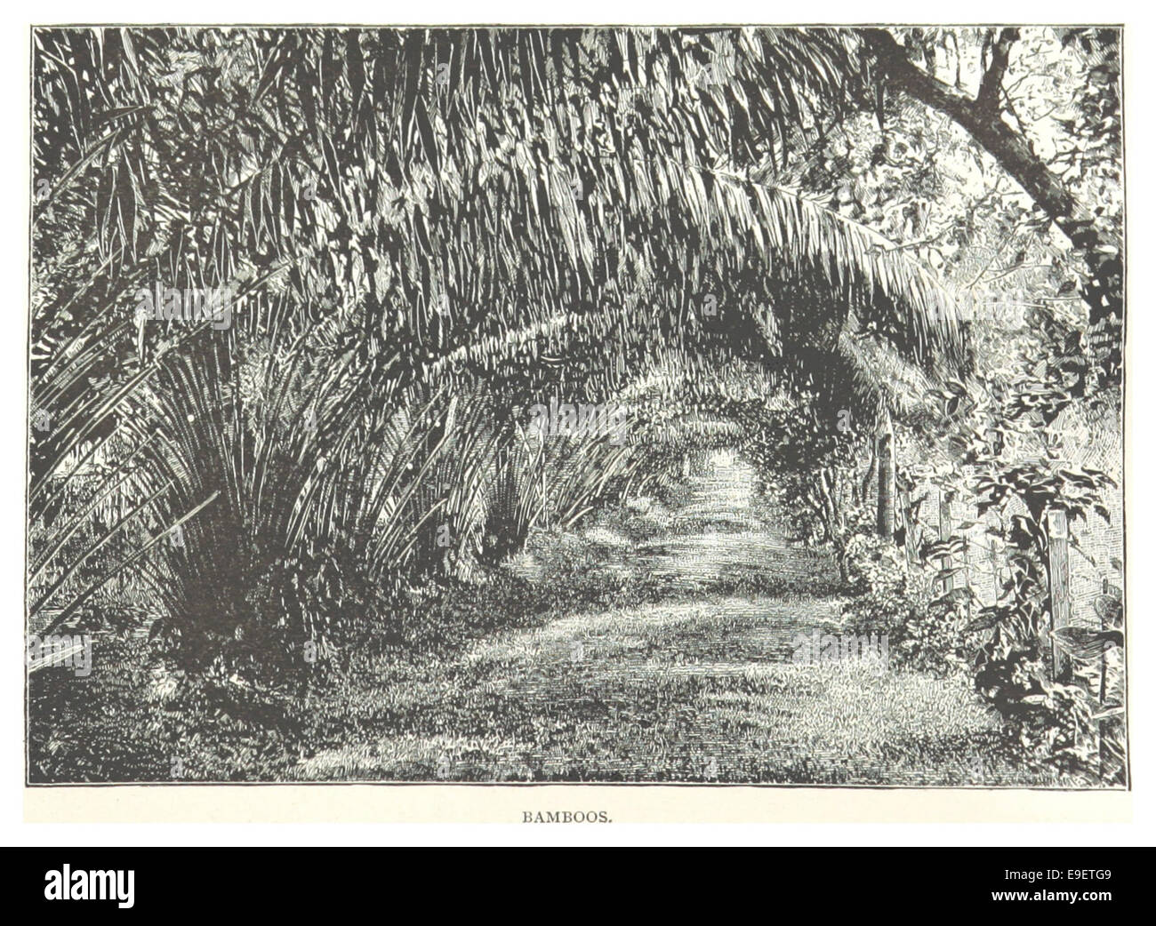 Landscape materials Cut Out Stock Images & Pictures - Alamy